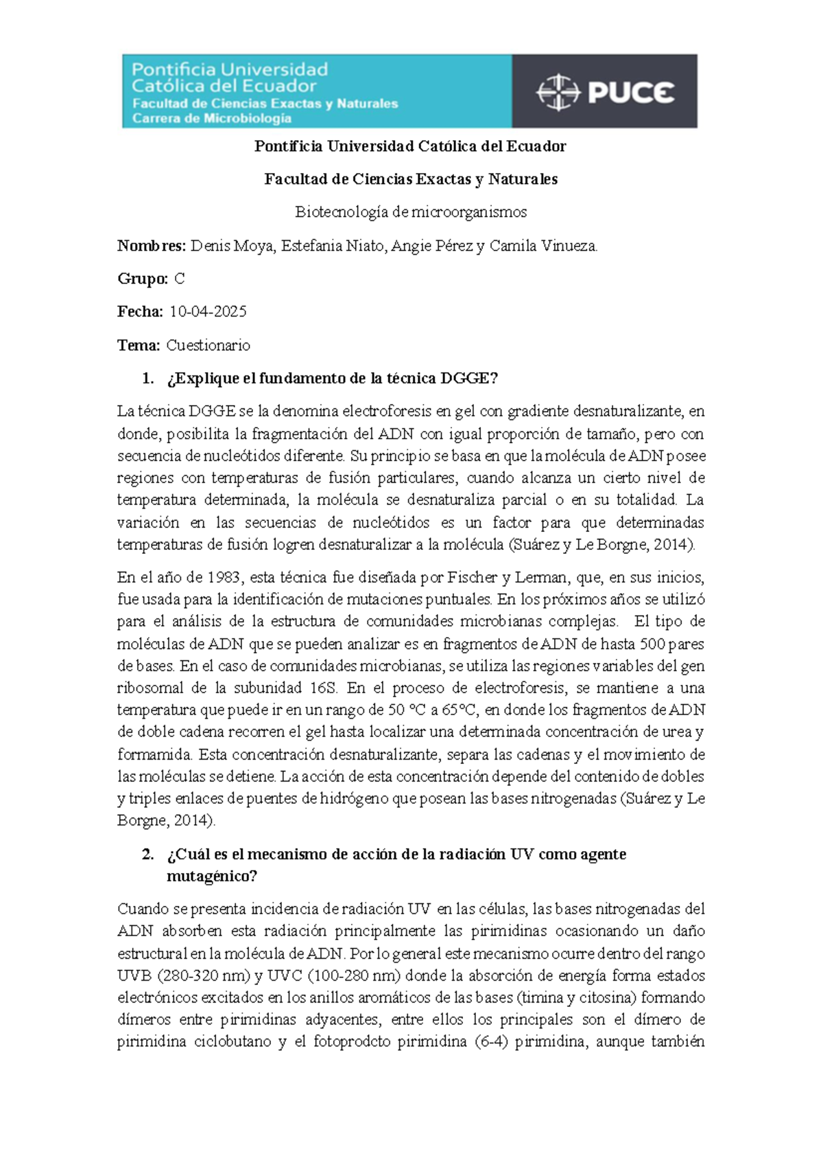 Cuestionario Grupo C Moya, Niato, Pérez A y Vinueza - Pontificia ...