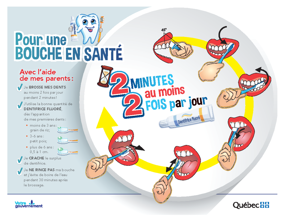 20 231 08F 2 - note de cours - Je BROSSE MES DENTS au moins 2 fois par ...