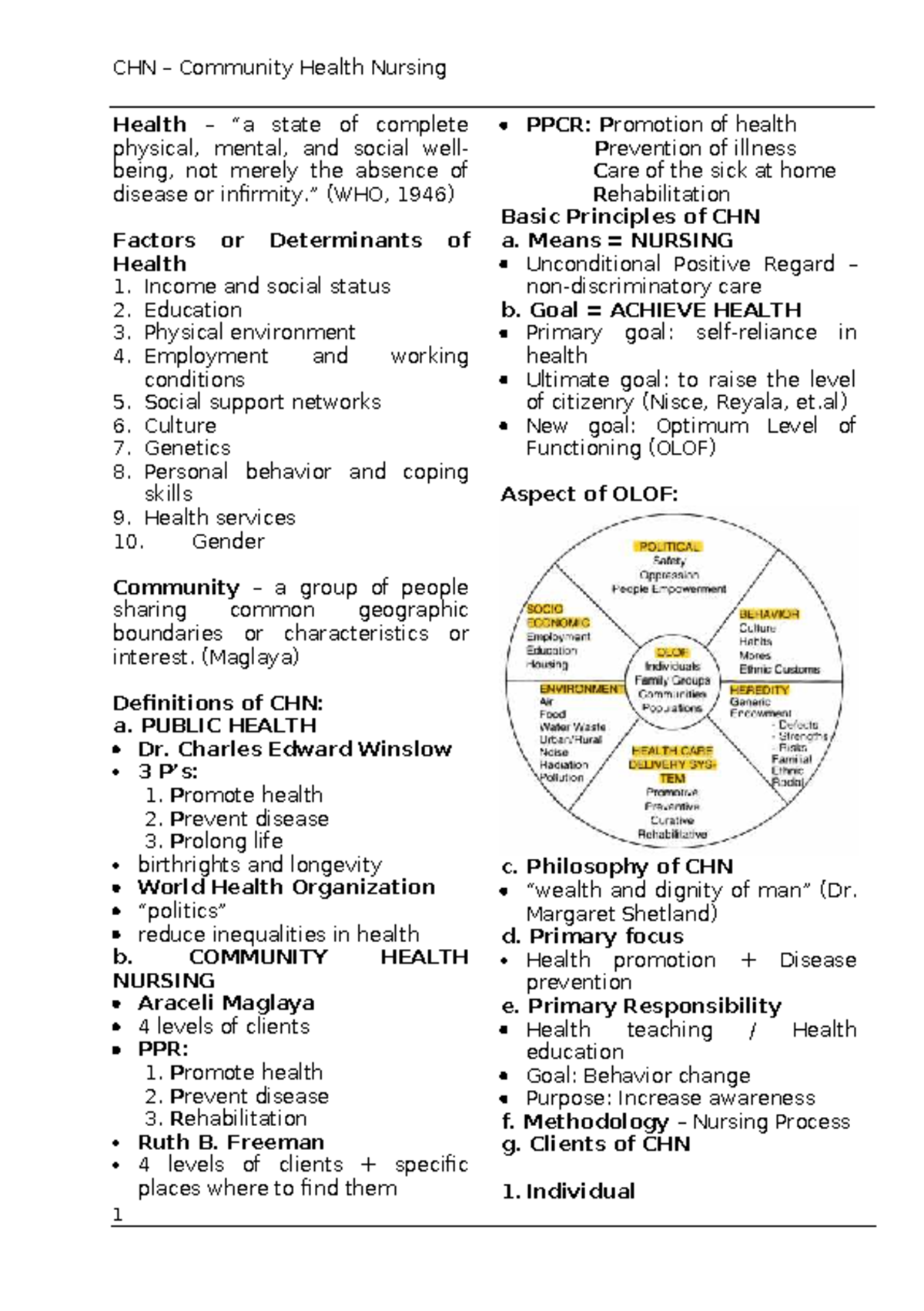 CHN Community Health Nursing: Comprehensive Overview and Key Concepts ...