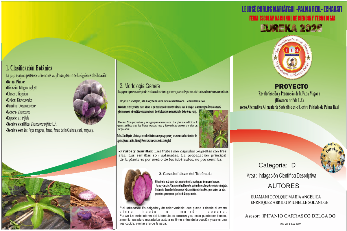 Tríptico sobre la Papa Magona: Información y Riquezas Naturales - Studocu