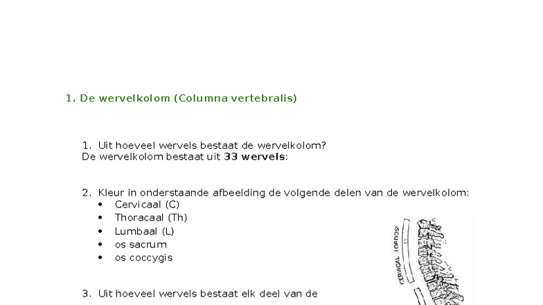 Wervelkolom Anatomie en Functies - Biologie 101 - Studeersnel