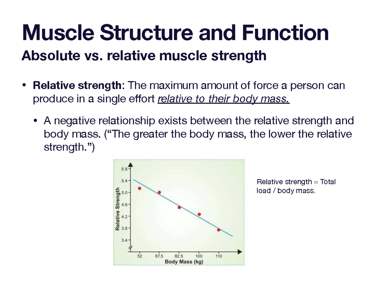 Muscle Structure and Function: Key Factors Influencing Performance ...
