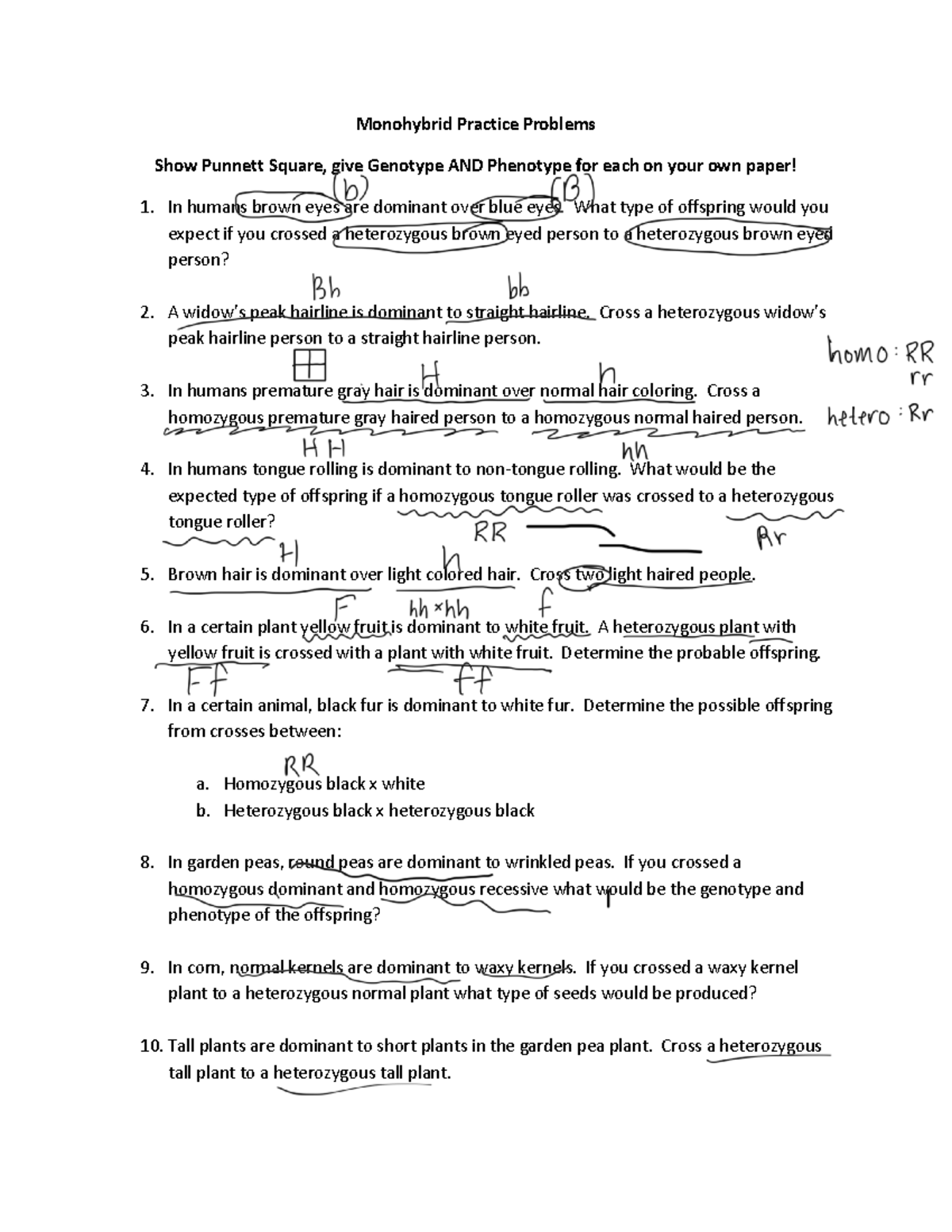 105737 Monohybrid Practice Problems Detailed Guide Studocu