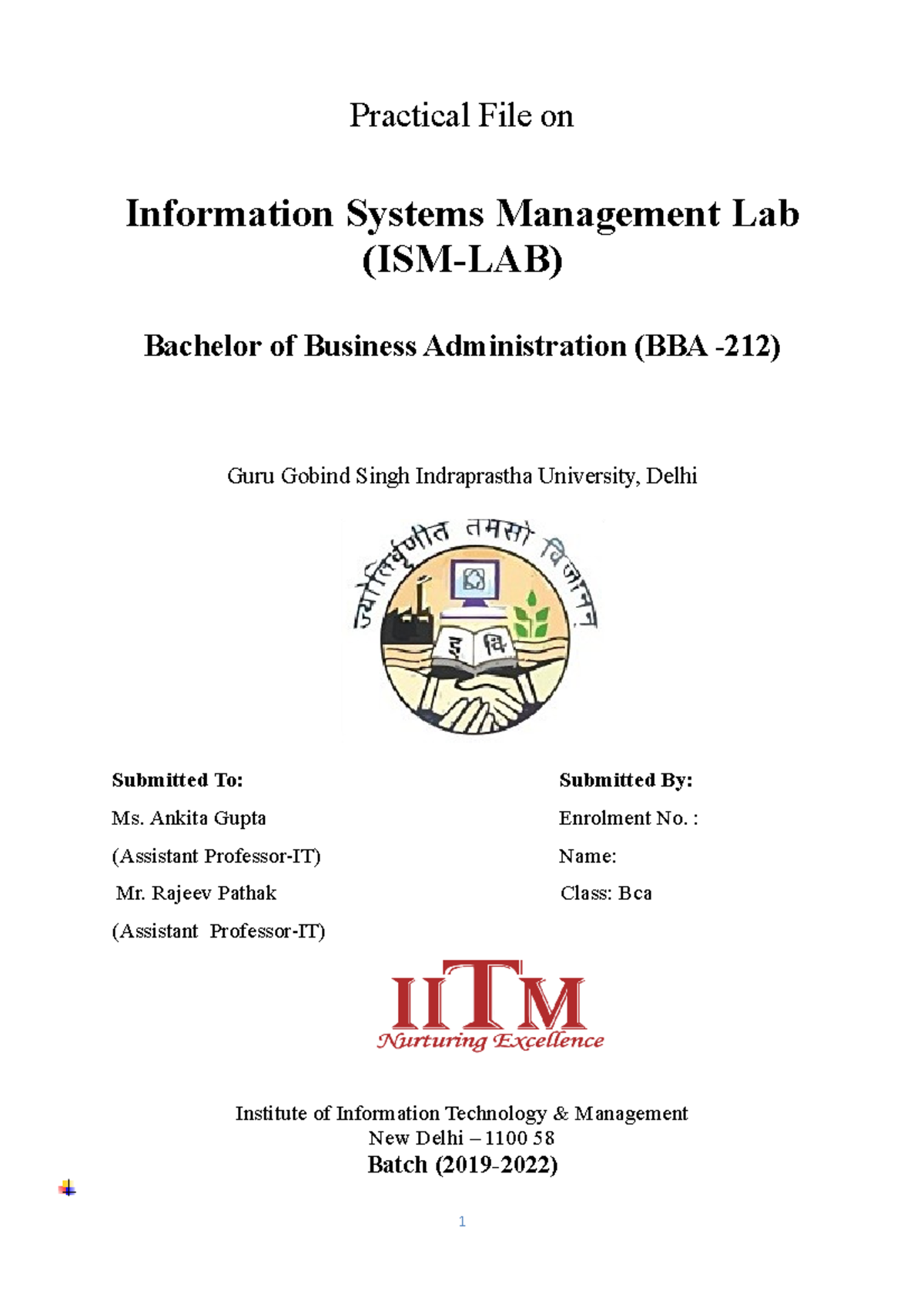 ISM Practical FILE - NOTHING - Practical File on Information Systems Management Lab (ISM-LAB ...