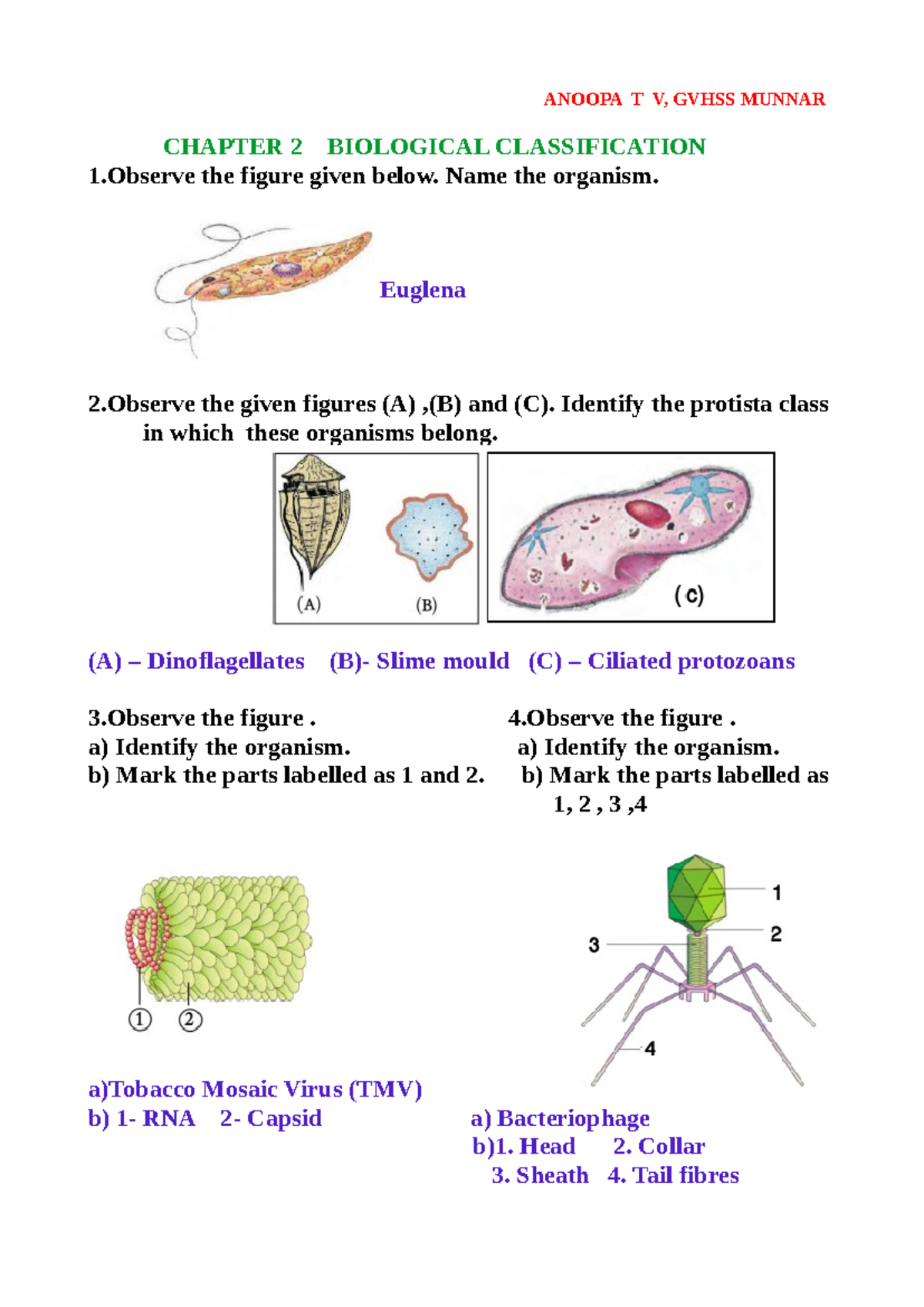 Important Diagrams for Botany +1: Biological Classification & Plant ...