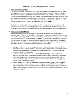 Nervous System Structure & Function: Comprehensive Overview (BIOL 101) - Comprehensive Overview ...
