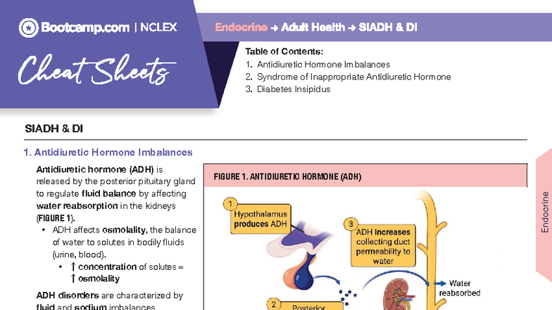 SIADH & DI Cheat Sheet: Understanding ADH Imbalances - Studocu