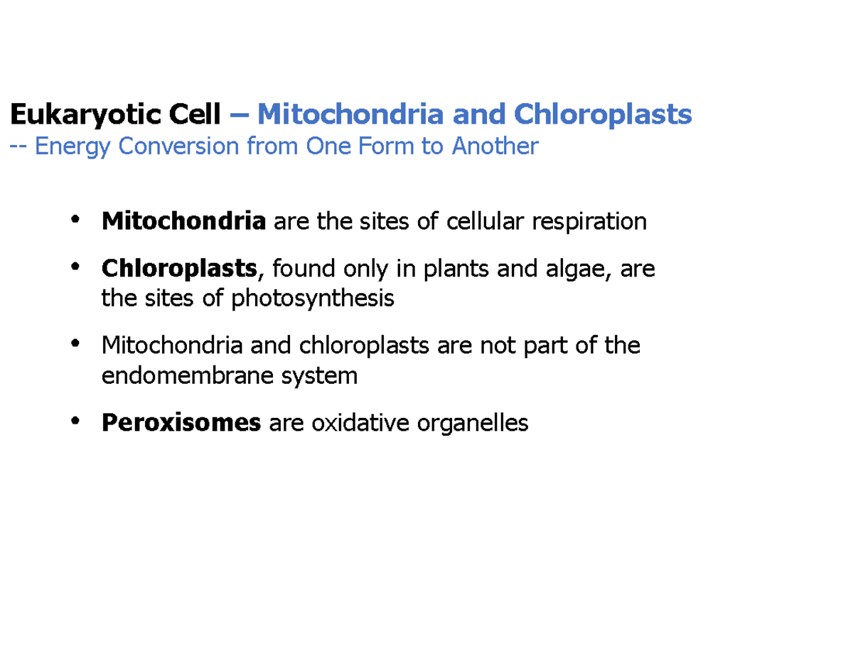 Eukaryotic Cell Structure & Functions - Lecture 2 Notes (BIO101) - Studocu