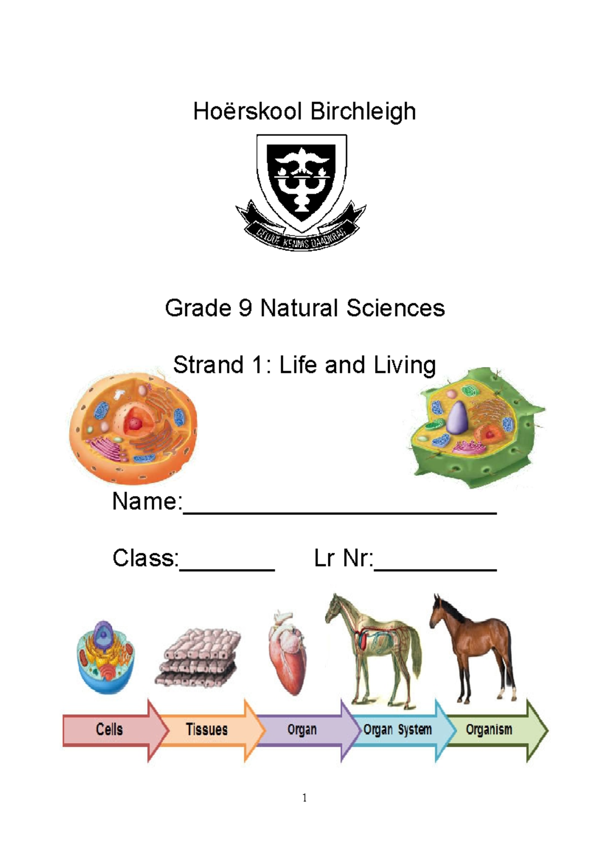 GR. 9 NS Strand 1: Life and Living - Cells & Reproductive System Notes ...