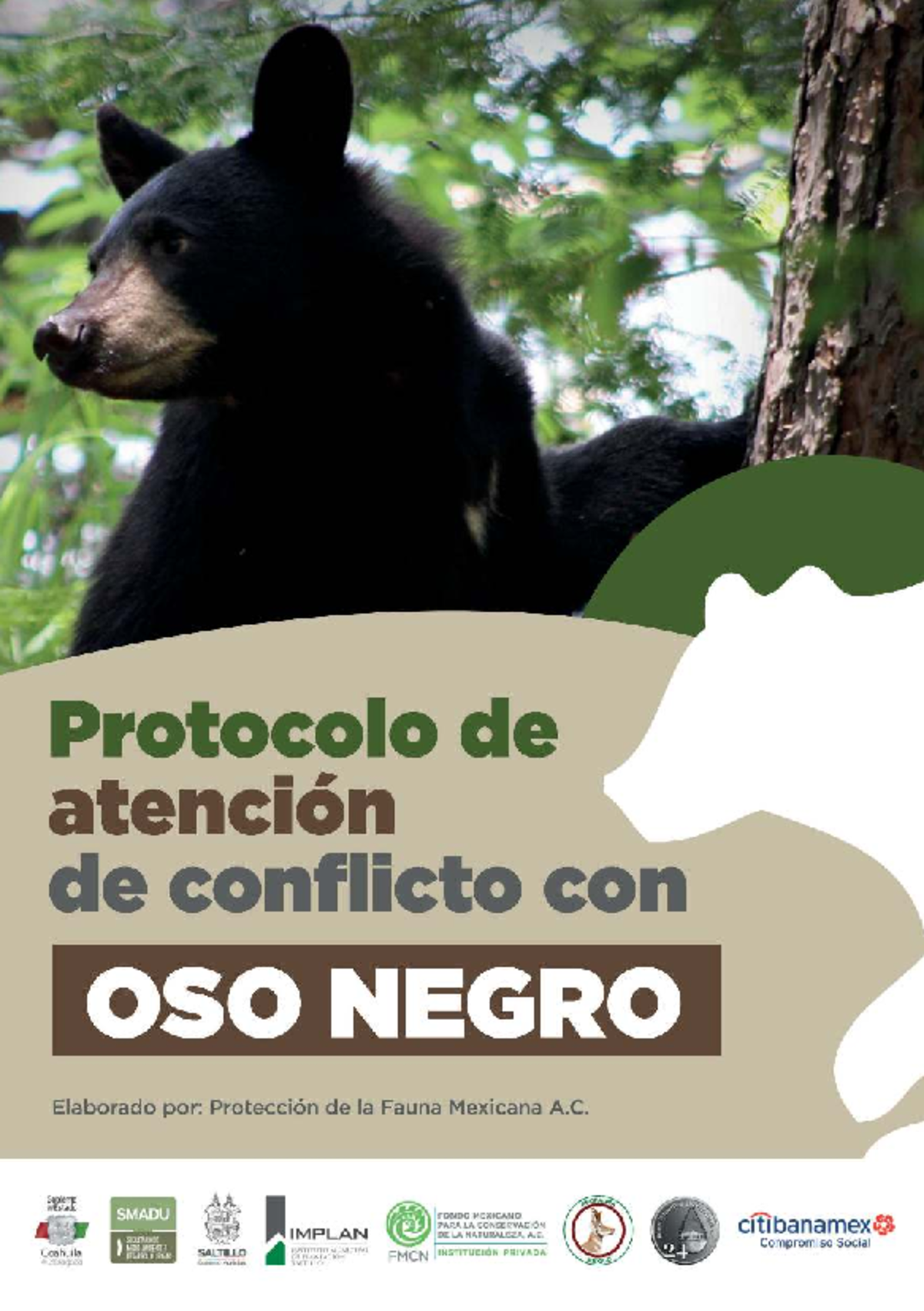 Protocolo de Atención a Conflictos con Oso Negro - GTEMC 2020 - Studocu