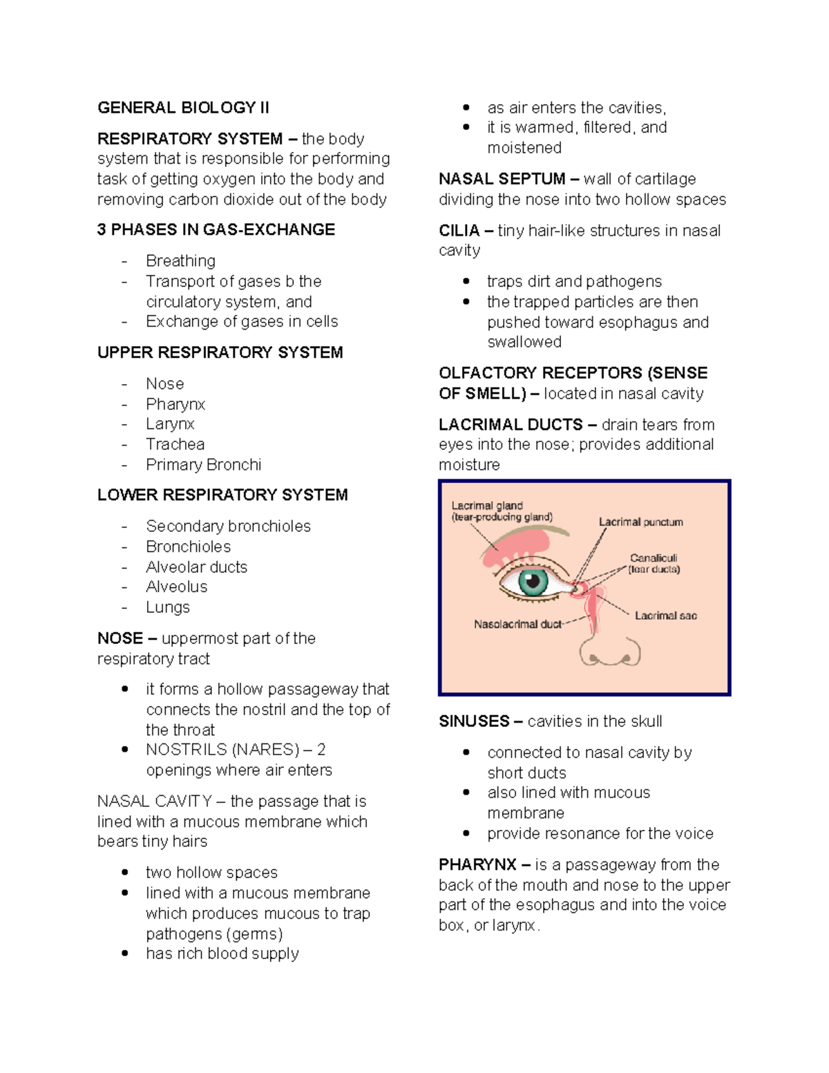 General Biology II - Respiratory System Review Notes - Studocu