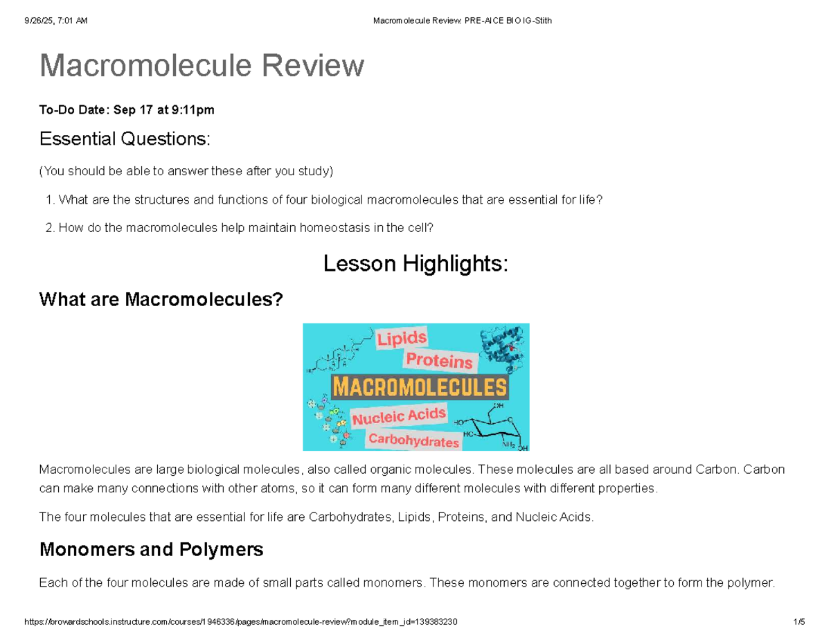Macromolecule Review: Key Concepts for PRE-AICE BIO - Studocu