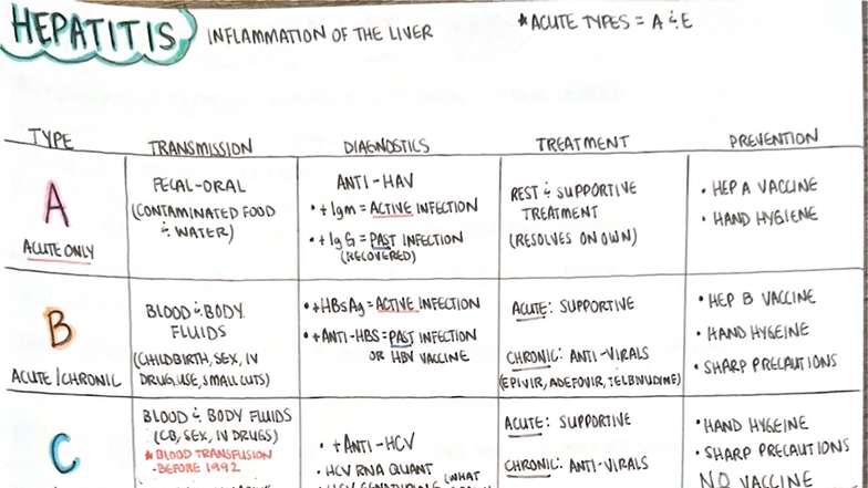 HEP 101: Acute Hepatitis Types A, B, C, D, E - Overview & Management ...
