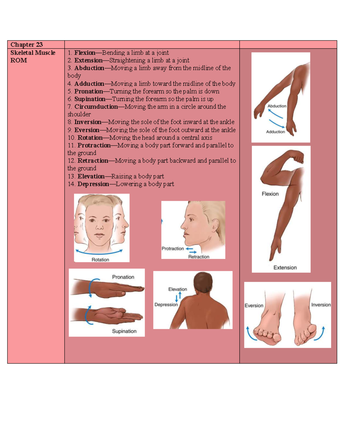Chapter 23: Skeletal Muscle Range of Motion (ROM) and Assessment - Studocu