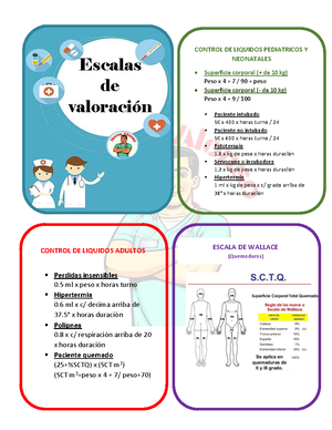 Fibroblastos - Ross. Histología: Texto Y Atlas - Fibroblastos El ...