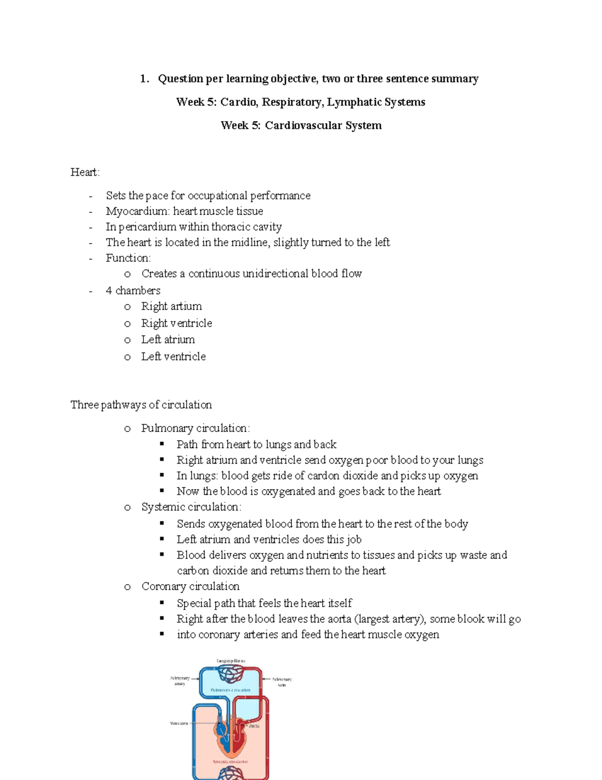 Week 5: Overview of Cardio, Respiratory, & Lymphatic Systems - Studocu