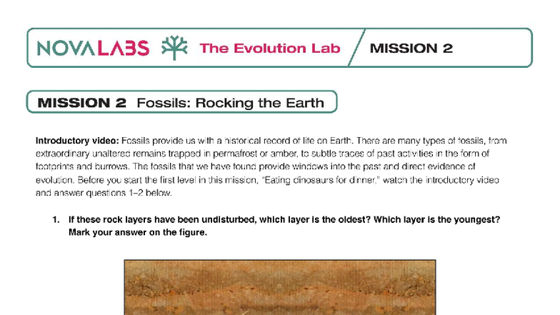 NOVA3S SSTZZ The Evolution Lab: Mission 2 - Fossils & Dinosaurs - Studocu