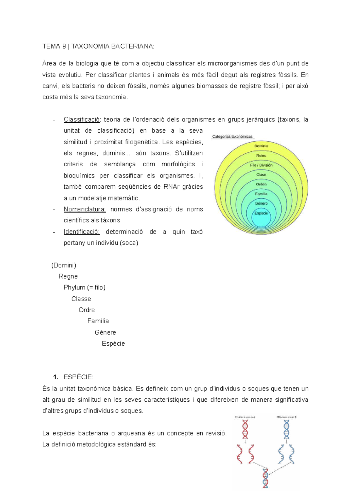 TEMA 9: Taxonomia Bacteriana i Classificació Evolutiva - Studocu