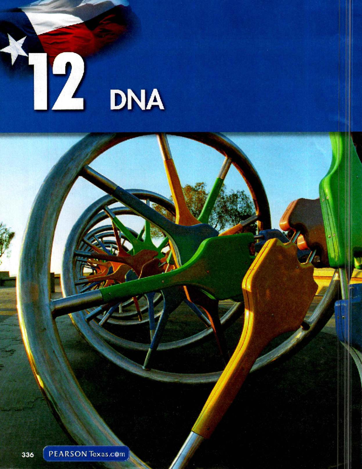 DNA FOCUS 10 CHAPTER TEKS MYSTERY 6E: The Impact of UV Light on DNA ...