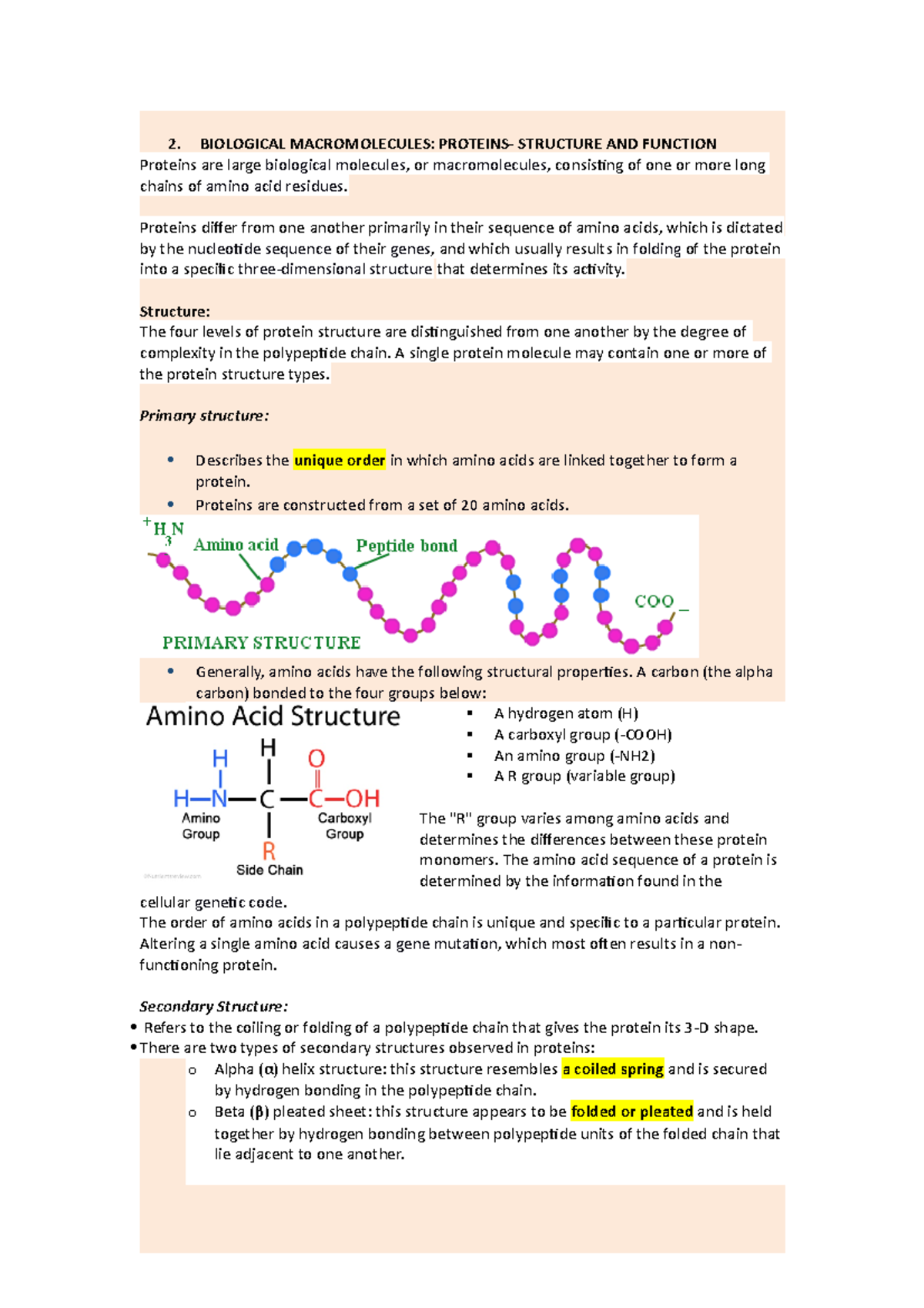 Biology Semester 2 - Molecular Biology Notes Summarised - 2. BIOLOGICAL ...