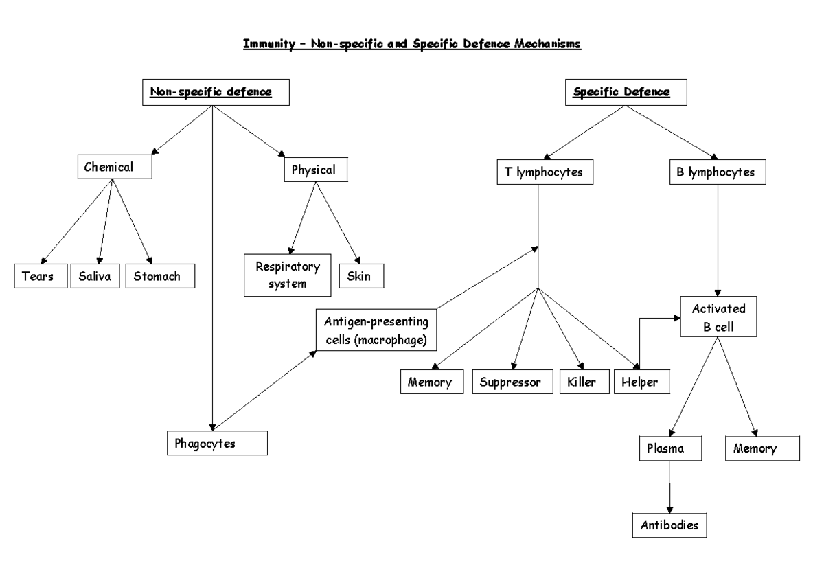 Flow chart - immune response - Immunity – Non-specific and Specific ...
