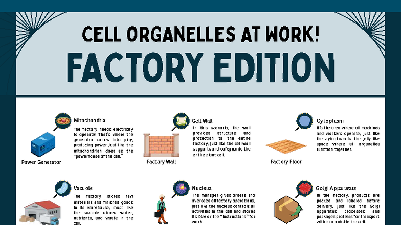 BIO 2: Cell Organelles and Their Factory Functions - Studocu