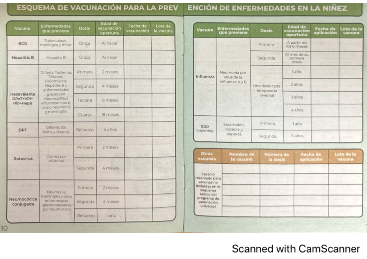 Cartilla Nacional de Salud. Niñes de 0 a 9 años de edad - ESQUEMA DE ...