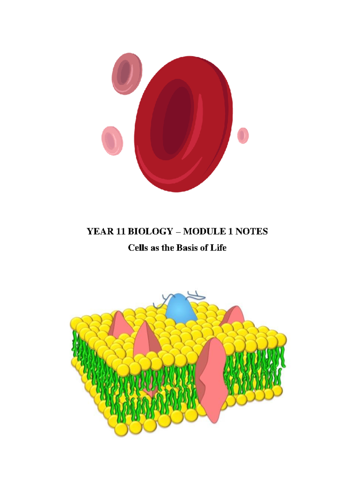 YEAR 11 BIOLOGY Notes: Cells, Organ Systems & Transport Mechanisms ...