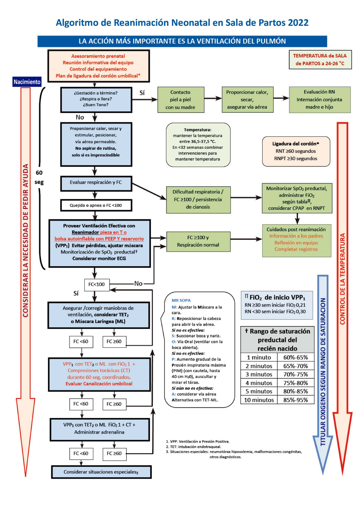 Algoritmo de Reanimación Neonatal en Sala de Partos 2022 - RCP 30x42 ...