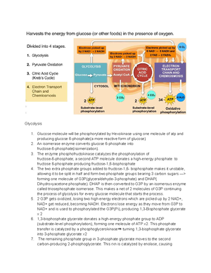 Biology - Grade: 12 - High School - Canada - Studocu