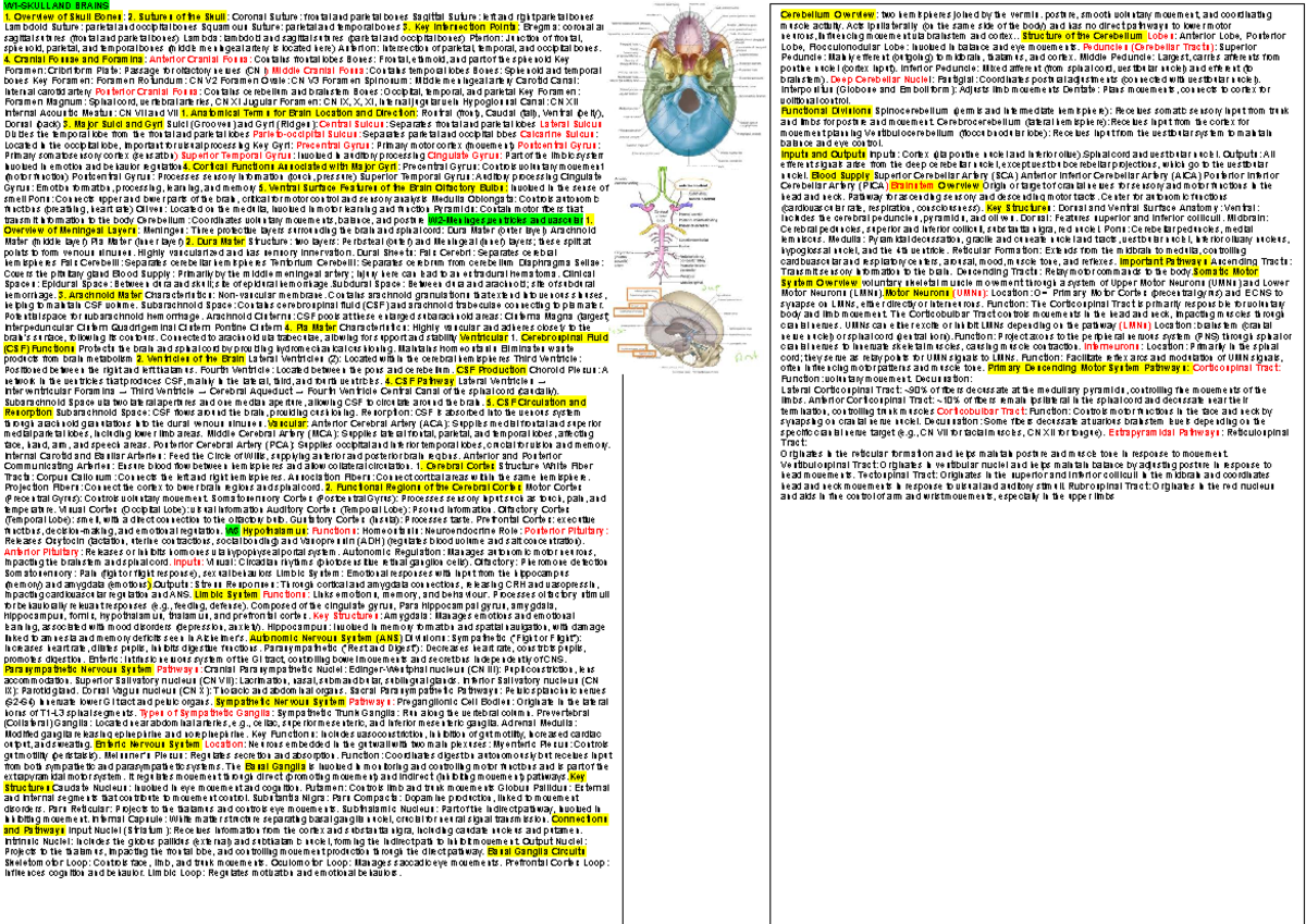 HUBS2103 - Final Exam Cheat Sheet: Overview of Skull, Brain, and CNS ...