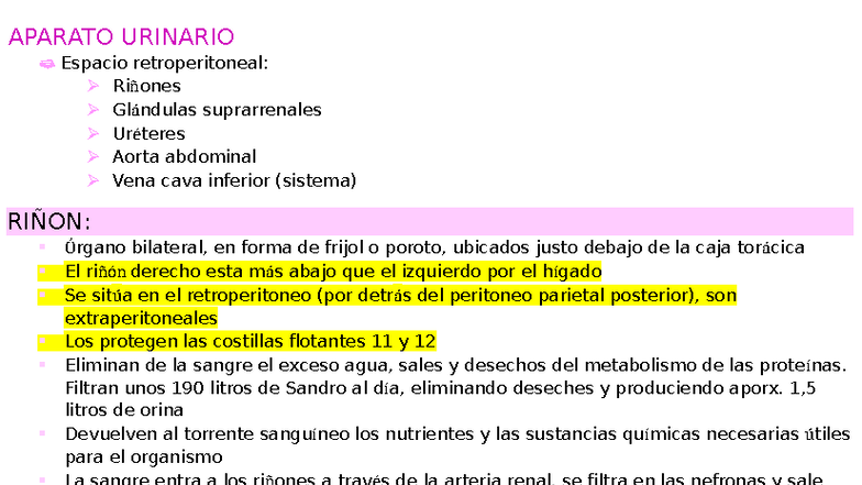APARATO URINARIO: Anatomía y Función de Riñones y Uréteres - Studocu