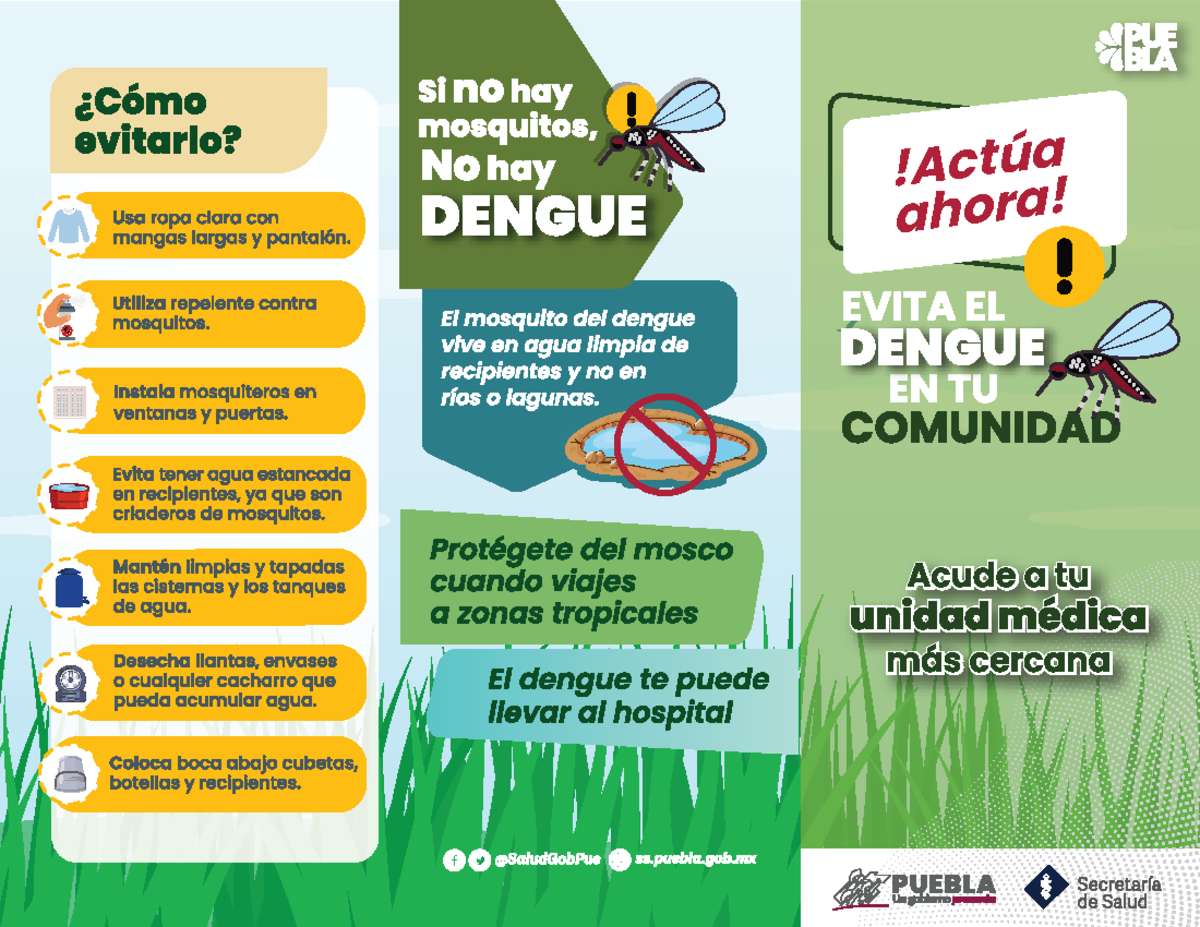 Tríptico sobre DENGUE: Prevención y Protección Comunitaria - Studocu