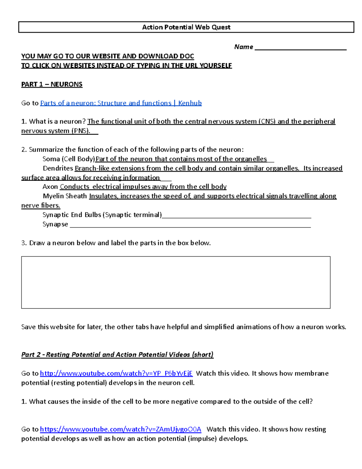 AP Biology: Action Potential Web Quest Notes and Summary - Studocu