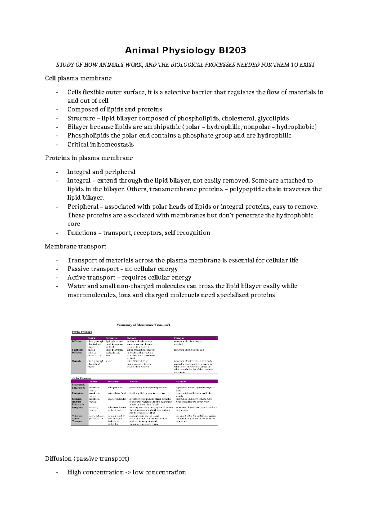 Animal physiology notes - Animal Physiology BI STUDY OF HOW ANIMALS ...