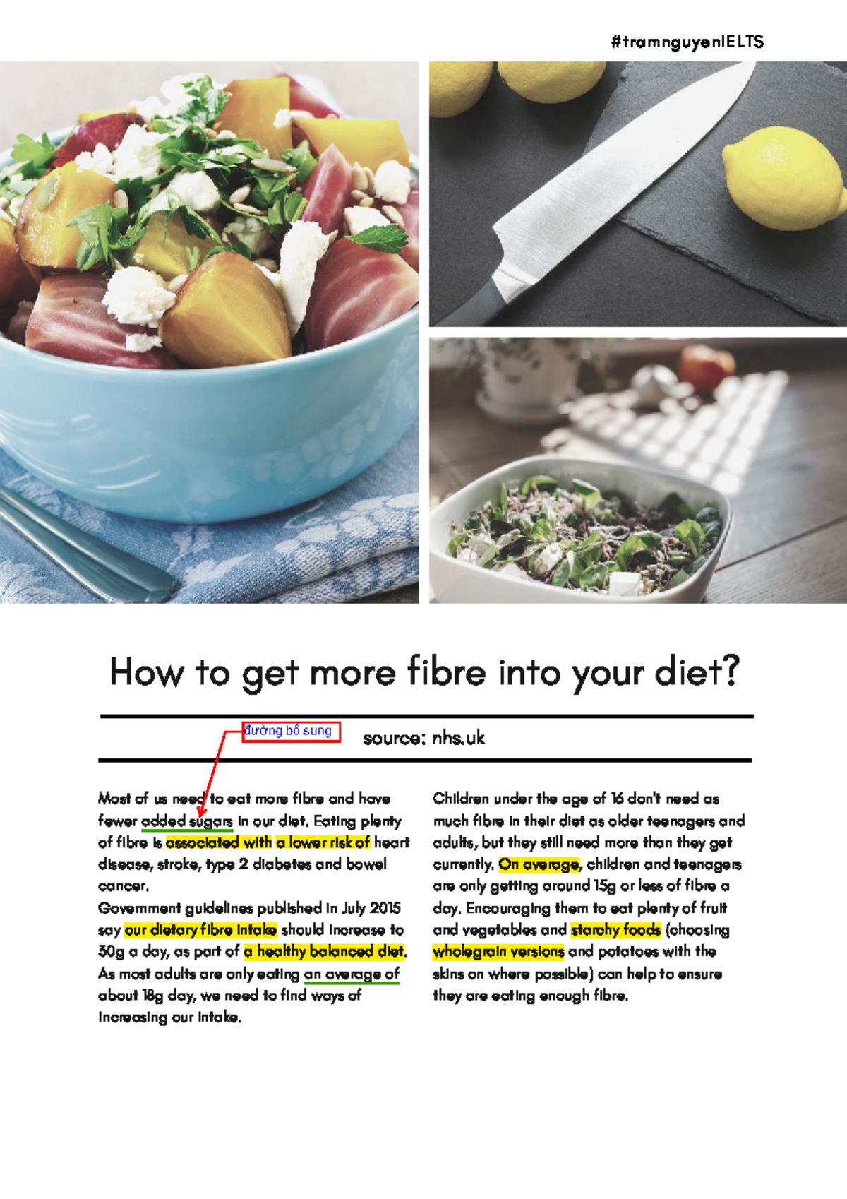 Increasing Dietary Fiber Intake: Tips and Guidelines - Studocu
