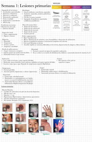 Ictus Hemorragico - ksksd - Capítulo 10 - ACCIDENTES CEREBROVASCULARES ...