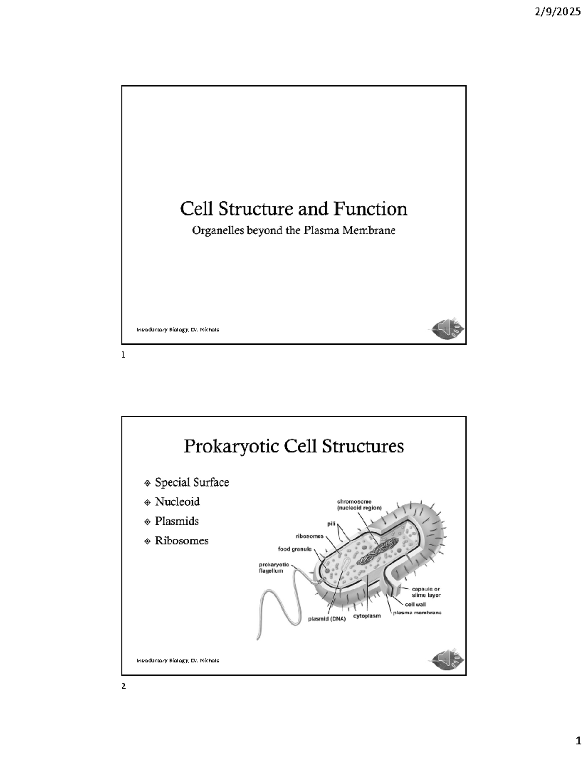 Introductory Biology (BIO101) Lecture 8: Cell Structures & Functions - Studocu
