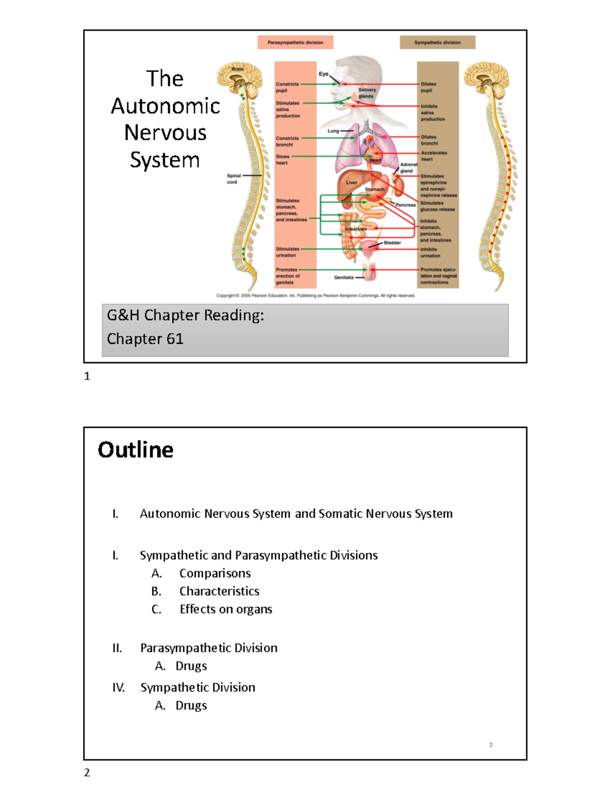 4-The Autonomic Nervous System - KShaw - The Autonomic Nervous System 1 ...