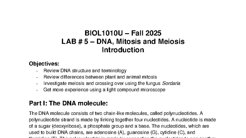 Lab 5 - DNA, Mitosis & Meiosis Intro and Protocol (BIOL1010U F2025 ...