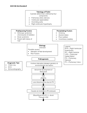 EINC-pdf - Einc - ESSENTIAL INTRAPARTUM AND NEWBORN CARE I. CARE FOR ...