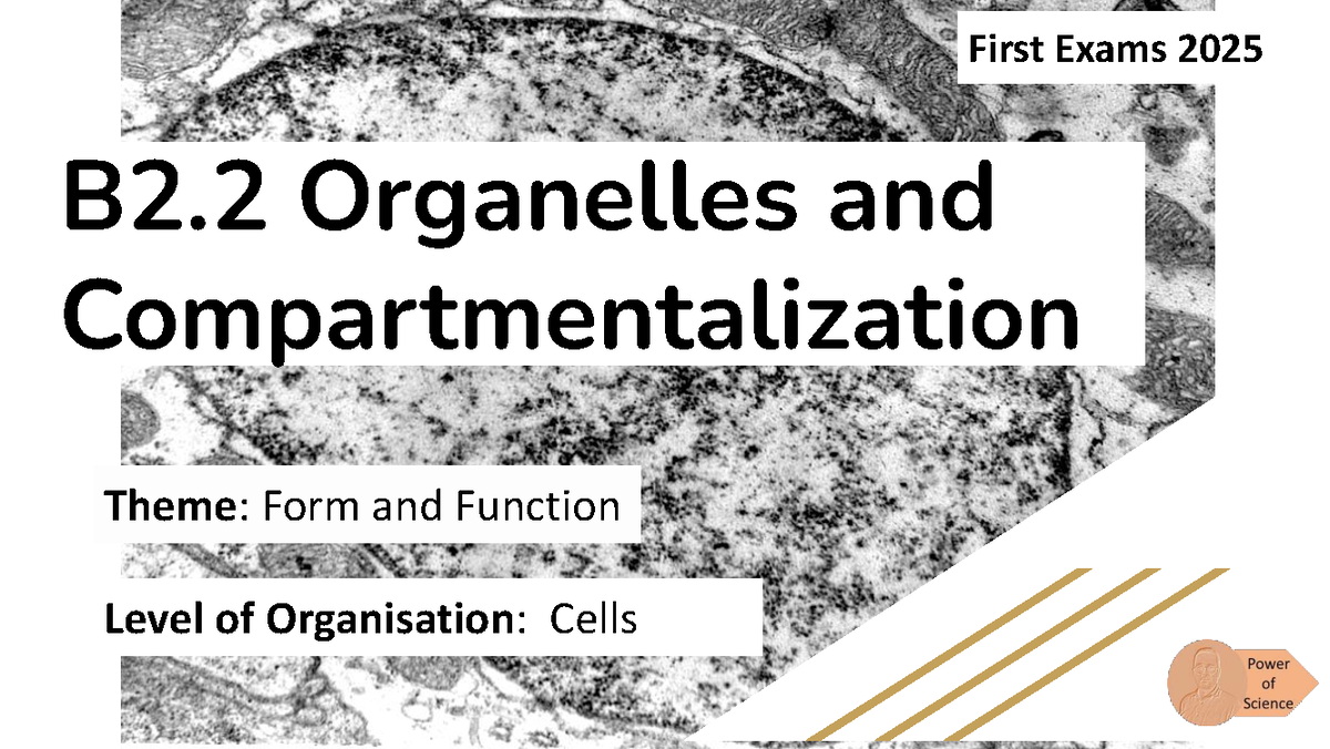 IB DP Biology: Organelles and Compartmentalization (B2.2) Study Notes ...