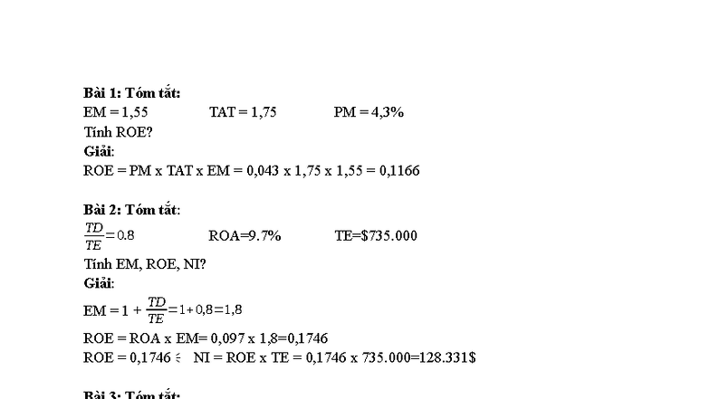 Tóm tắt Bài Tập TCDN C3 Nhóm 1: Tính ROE, NI, EFN và Phân Tích Tài ...