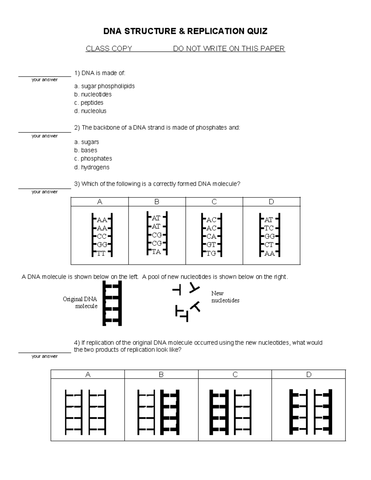 DNA Structure and Replication Quiz Key (12-13) - Studocu