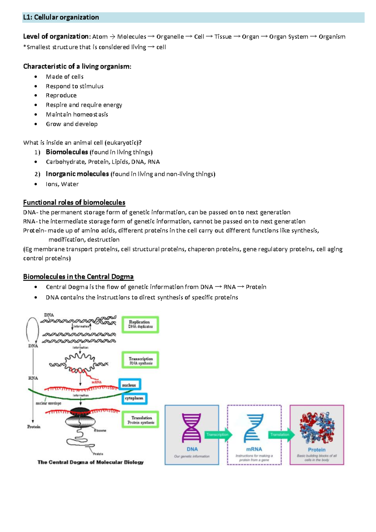 A222 MCB notes - Noted for A222 on Lesson 1 to 13. - L1: Cellular ...