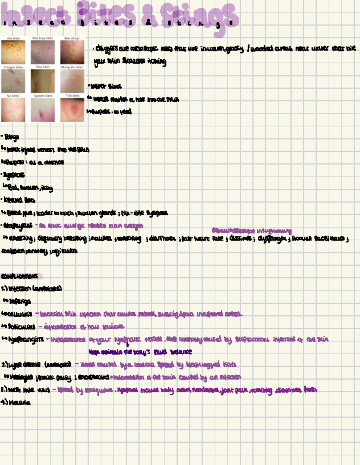 Insect Bites and Stings: Symptoms, Complications, and Treatments ...