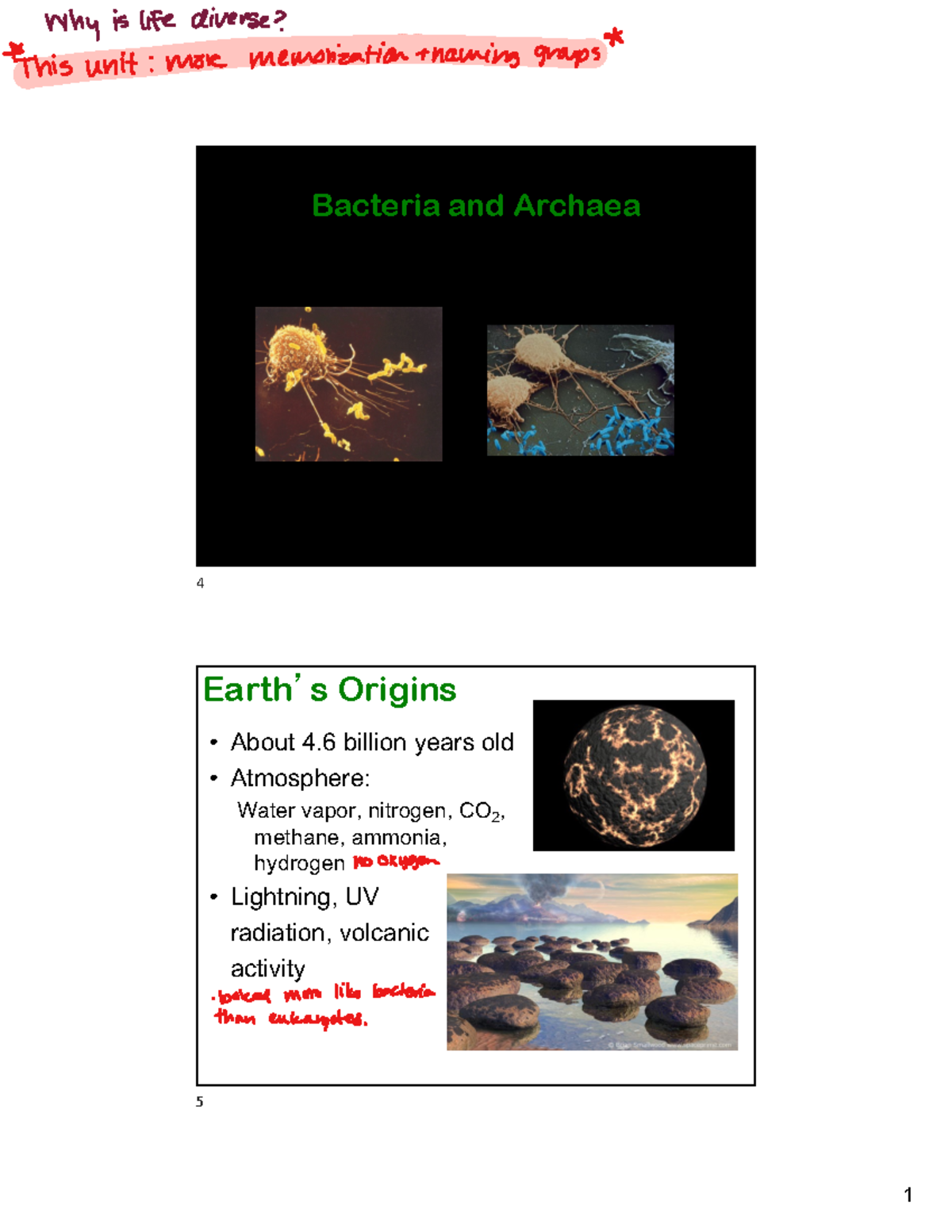 Final Exam Study Guide - History 101: Key Concepts and Themes ...