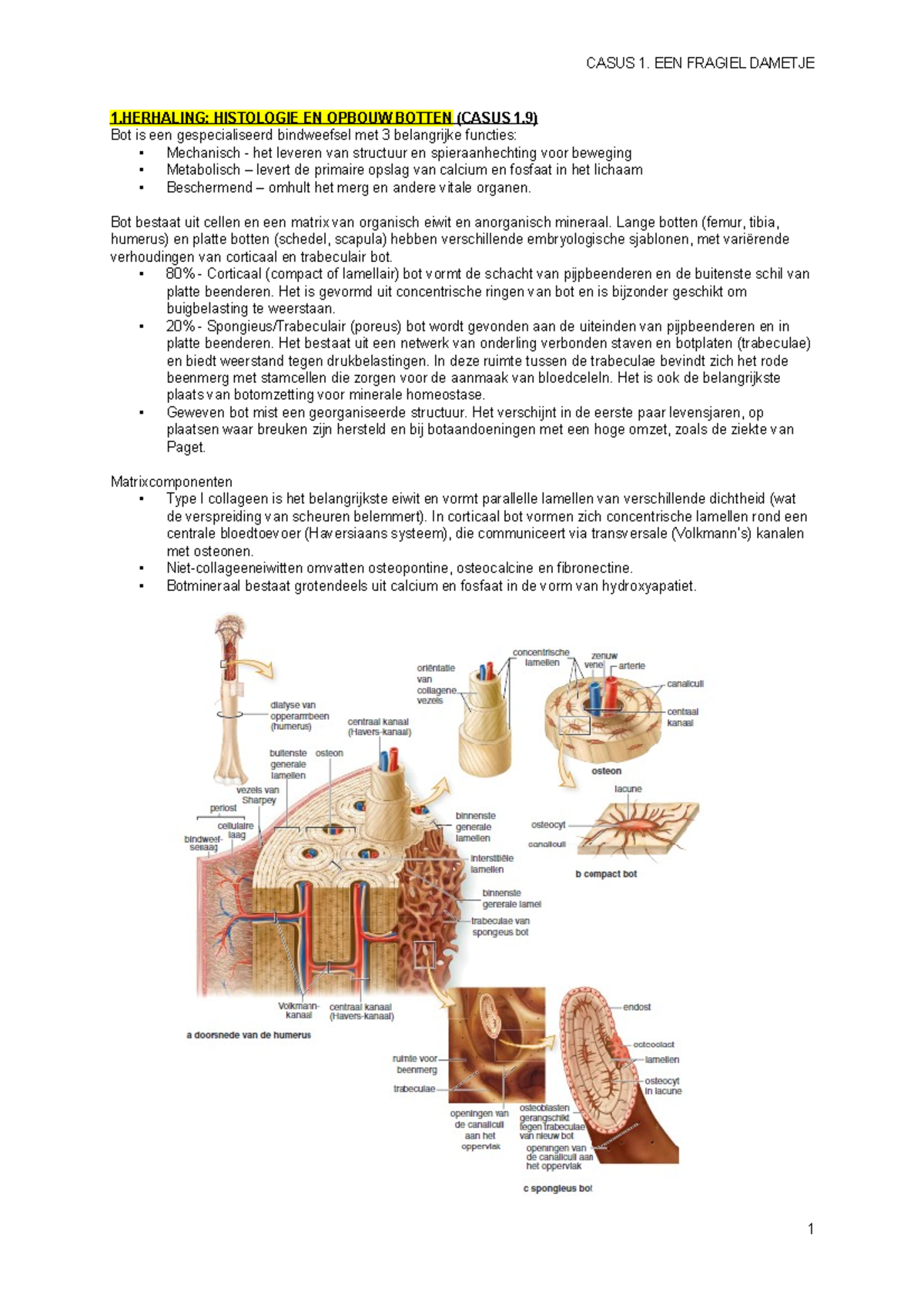 Histo- en Botstructuur Herhaling: Biosciences 101 Case Study 1 ...