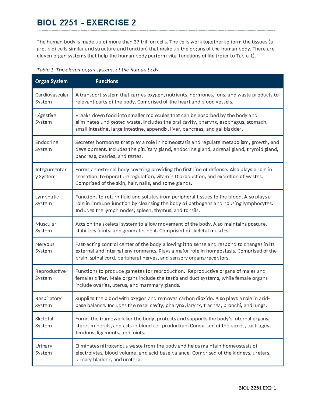 BIOL 2251 Exercise 2: Overview of Human Organ Systems - Studocu