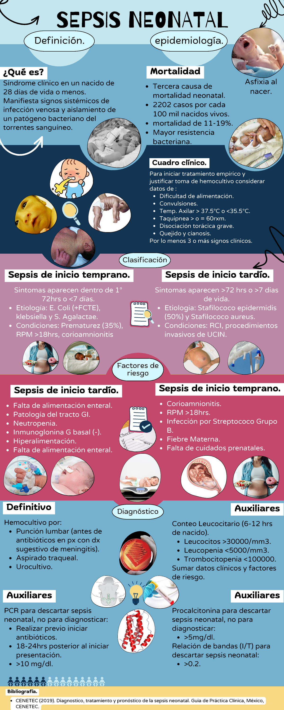 Infografía sobre Sepsis Neonatal: Definición, Epidemiología y Factores ...